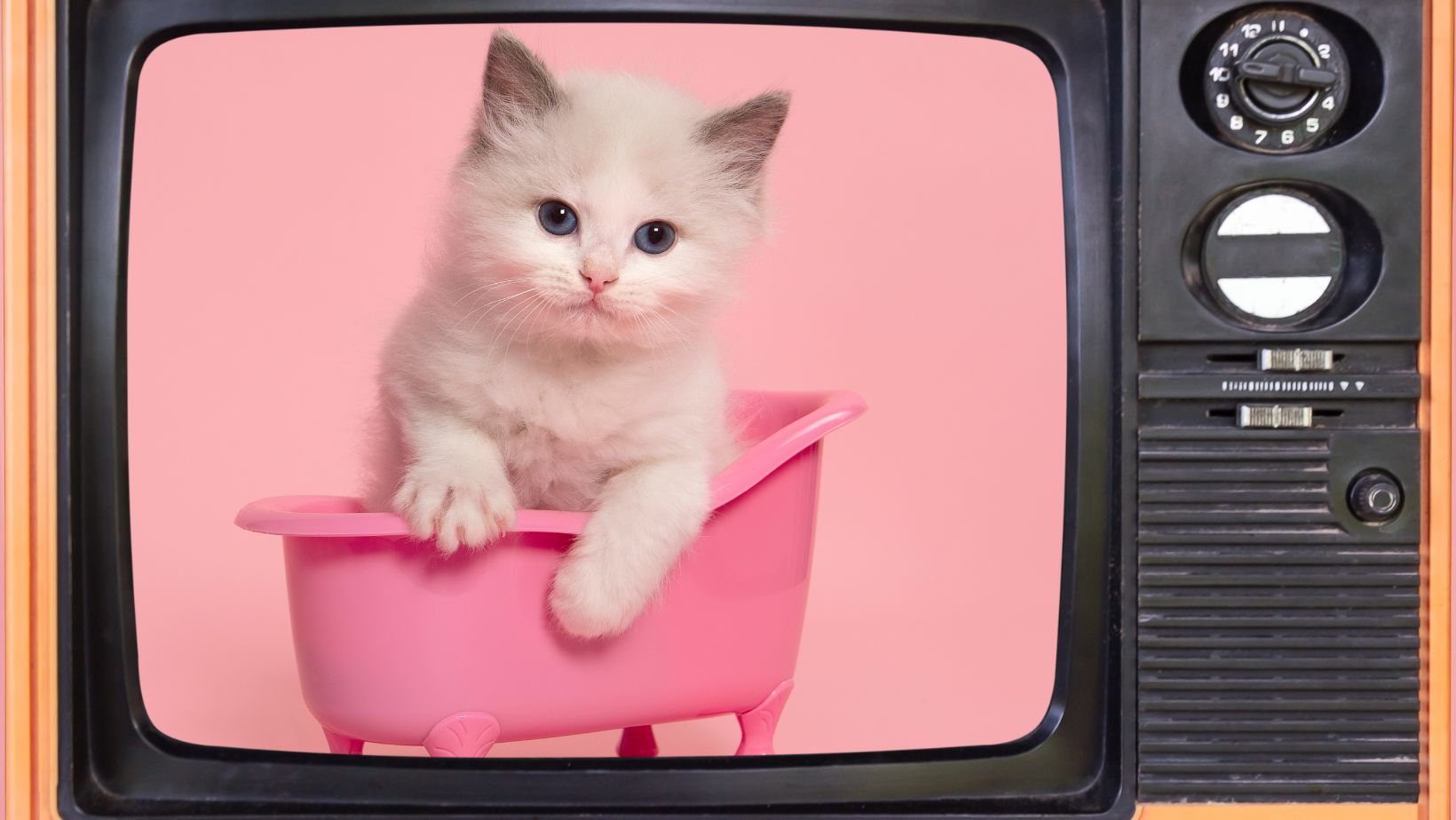 Classic Kids' TV Shows: Impact and Nostalgia from 1960s-1990s - SOFT ...